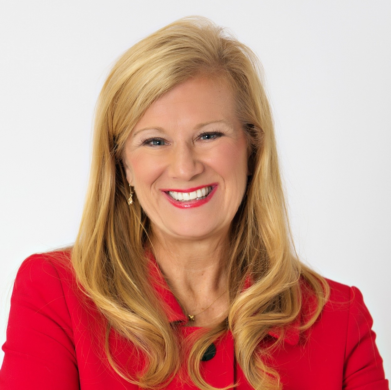 The Violand Executive Summit | Violand Management Associates