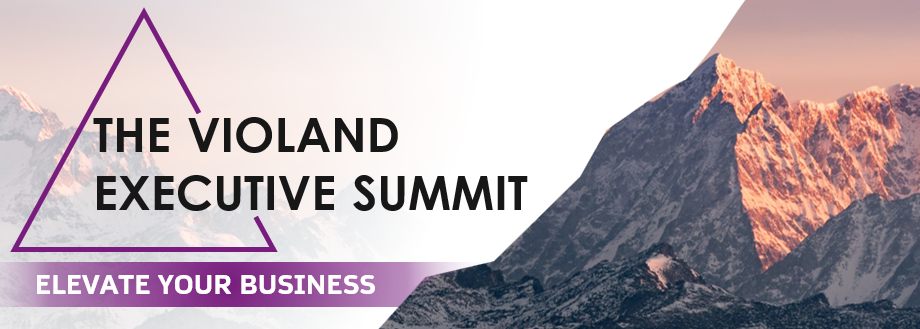 The Violand Executive Summit | Violand Management Associates
